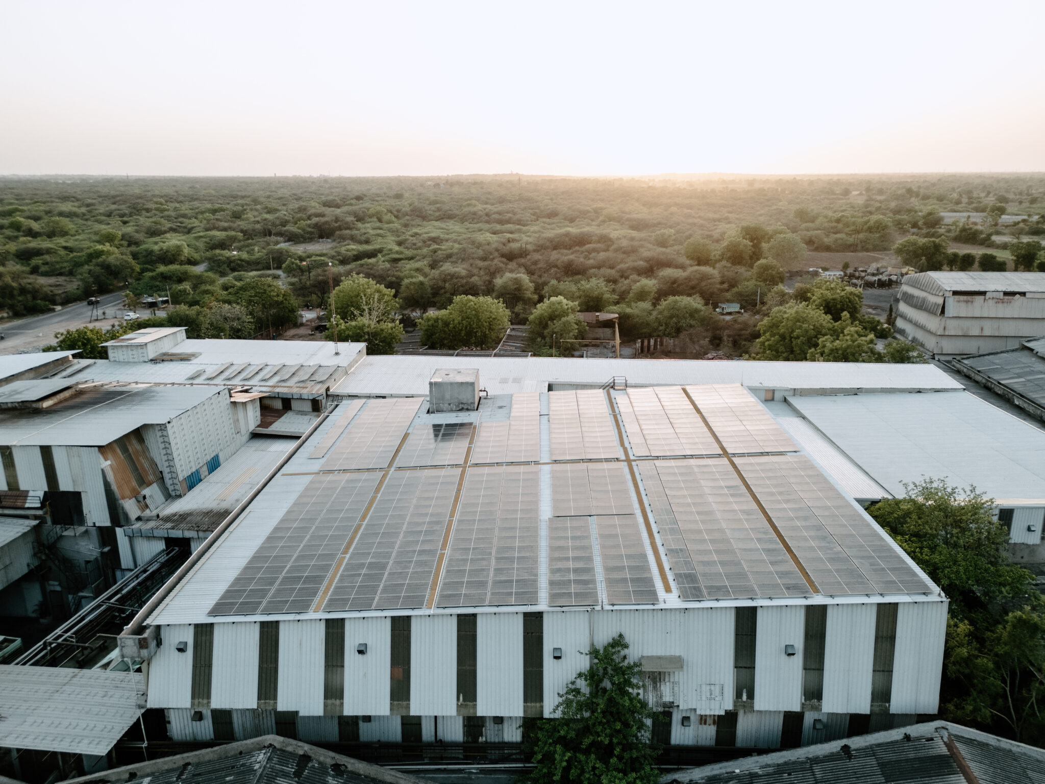 Daffodil Pharma | Leading Citrate Manufacturer – WHO-GMP Certified